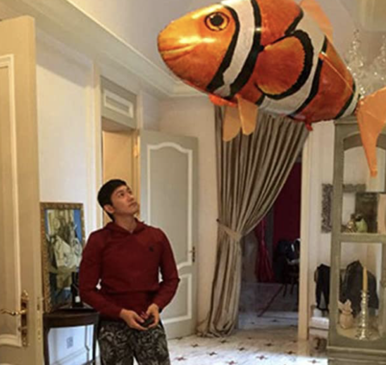 10 Best Remote Control Flying Animal Toys - The Toyz